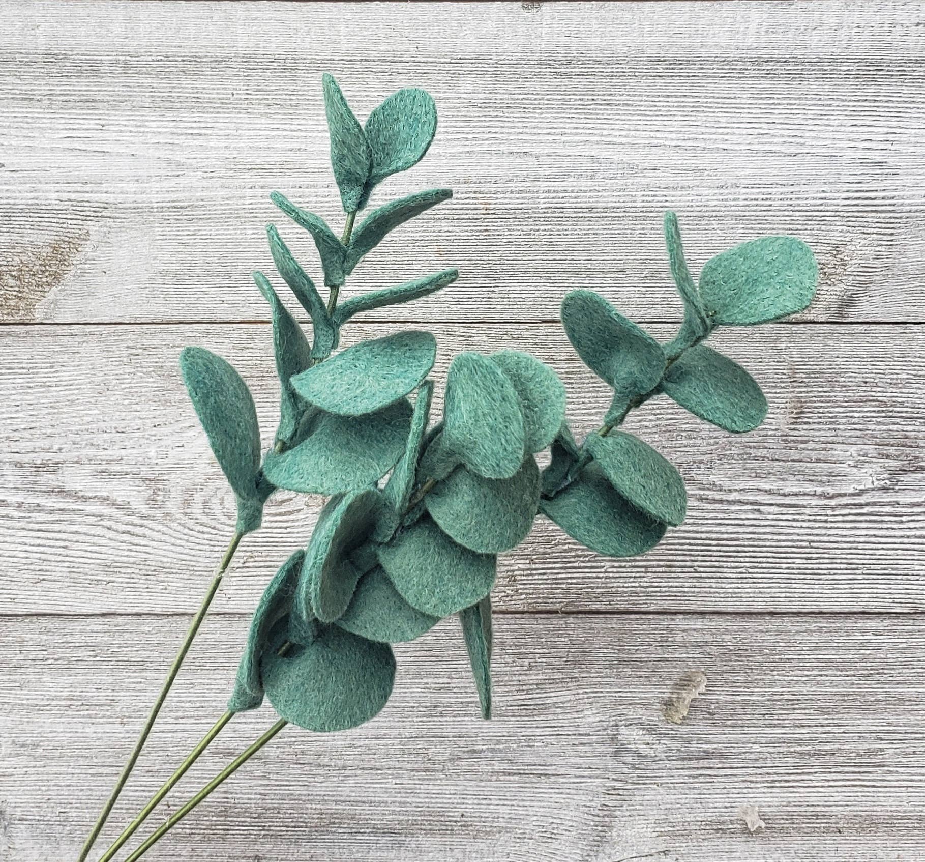 Felt Stem: Eucalyptus – Bowerbird